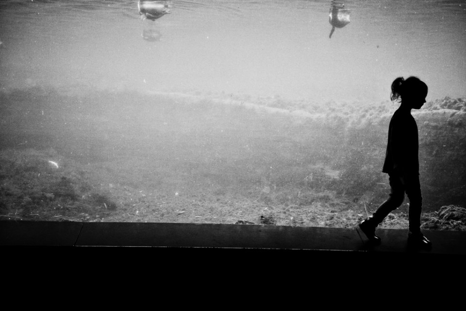 Wouter Brandsma | Ledesma Photography